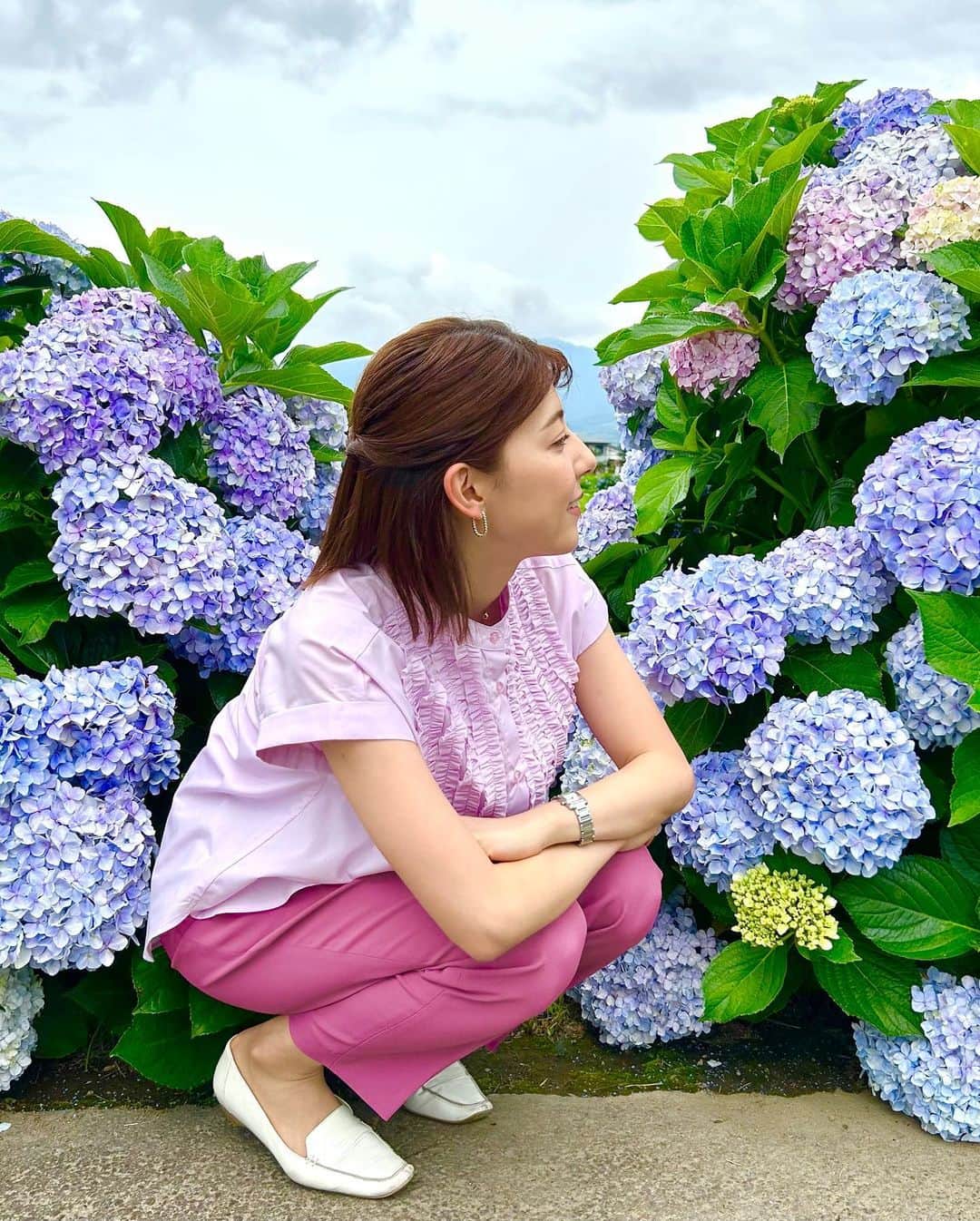 TBS「Nスタ」さんのインスタグラム写真 - (TBS「Nスタ」Instagram)「. 本日のすたすた中継は 神奈川県の開成町あじさいまつりの会場からお伝えしました 田んぼの周りに 色 ...