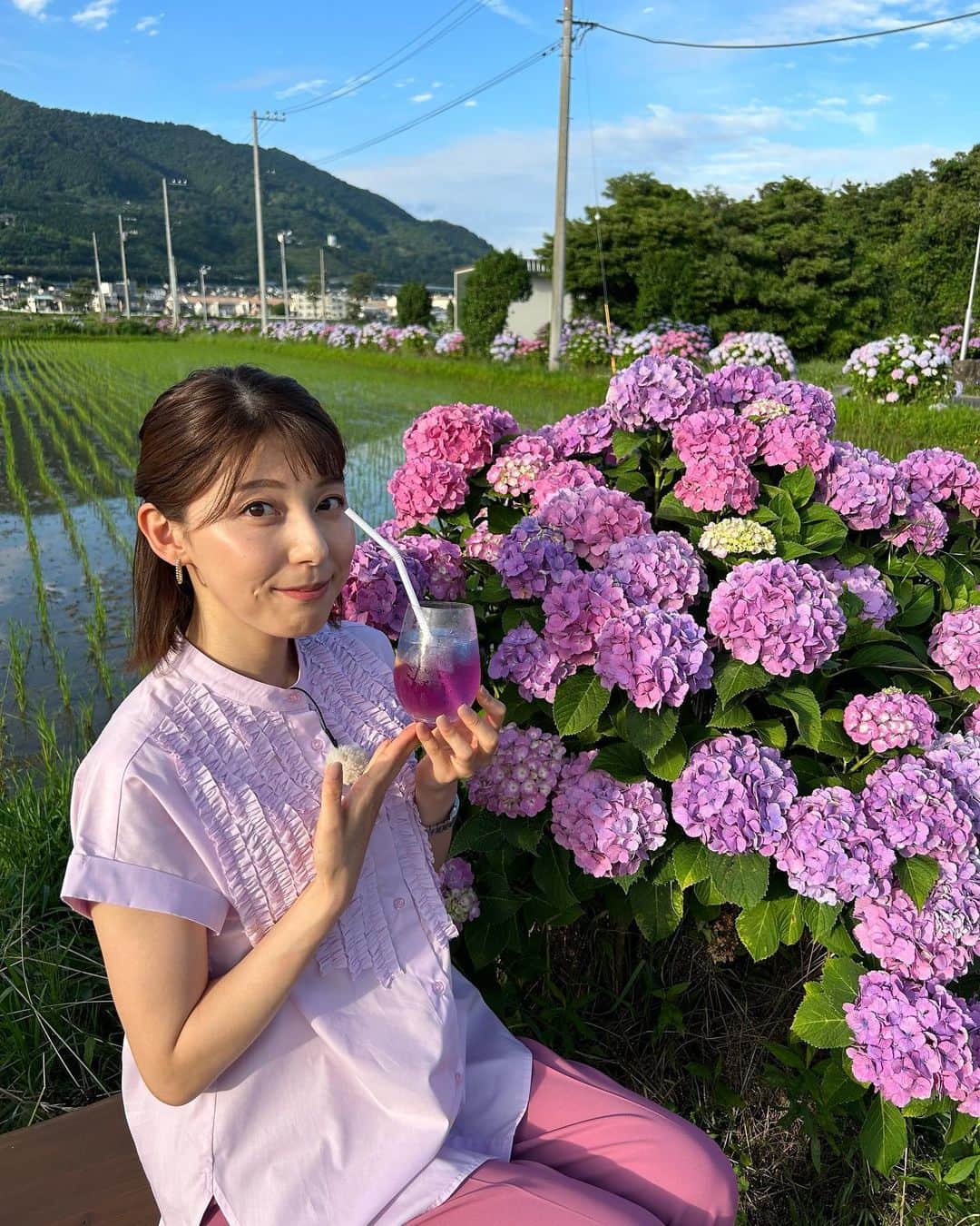 TBS「Nスタ」さんのインスタグラム写真 - (TBS「Nスタ」Instagram)「. 本日のすたすた中継は 神奈川県の開成町あじさいまつりの会場からお伝えしました 田んぼの周りに 色 ...