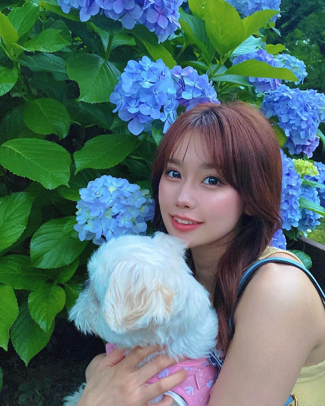 相原美咲さんのインスタグラム写真 - (相原美咲Instagram)「紫陽花💠 好きなお花です😊 今日もお疲れ様でした🧜‍♀️ 👙イベント👙 ...