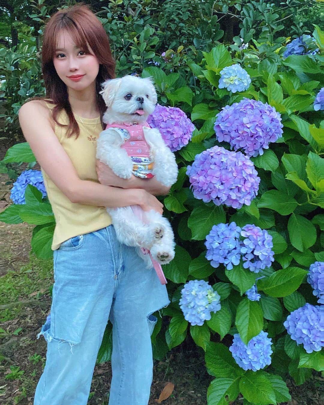 相原美咲さんのインスタグラム写真 - (相原美咲Instagram)「紫陽花💠 好きなお花です😊 今日もお疲れ様でした🧜‍♀️ 👙イベント👙 ...