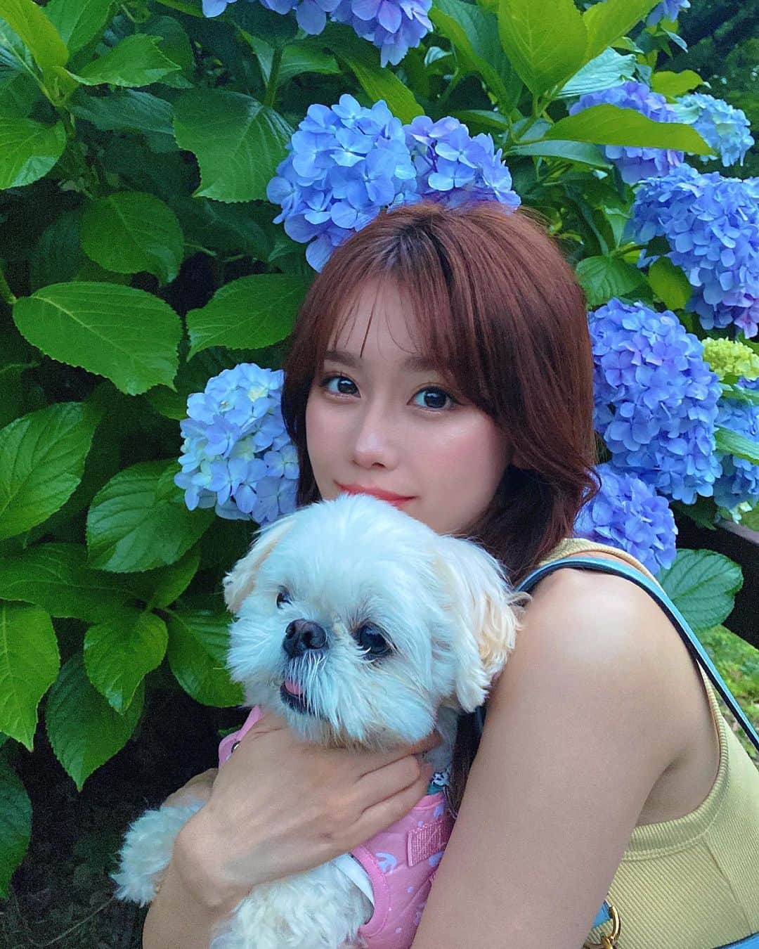 相原美咲さんのインスタグラム写真 相原美咲instagram 「紫陽花💠 好きなお花です😊 今日もお疲れ様でした🧜‍♀️ 👙イベント👙