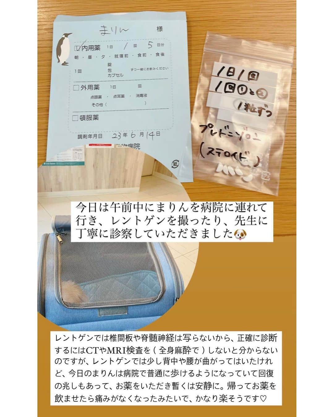 本田裕子さんのインスタグラム写真 - (本田裕子Instagram)「rinrin_yuko 【真心＝正義や正しさではなく、御心・素直な心】 . 私事ですが、今週はちょっぴり怒涛の日々となり ...