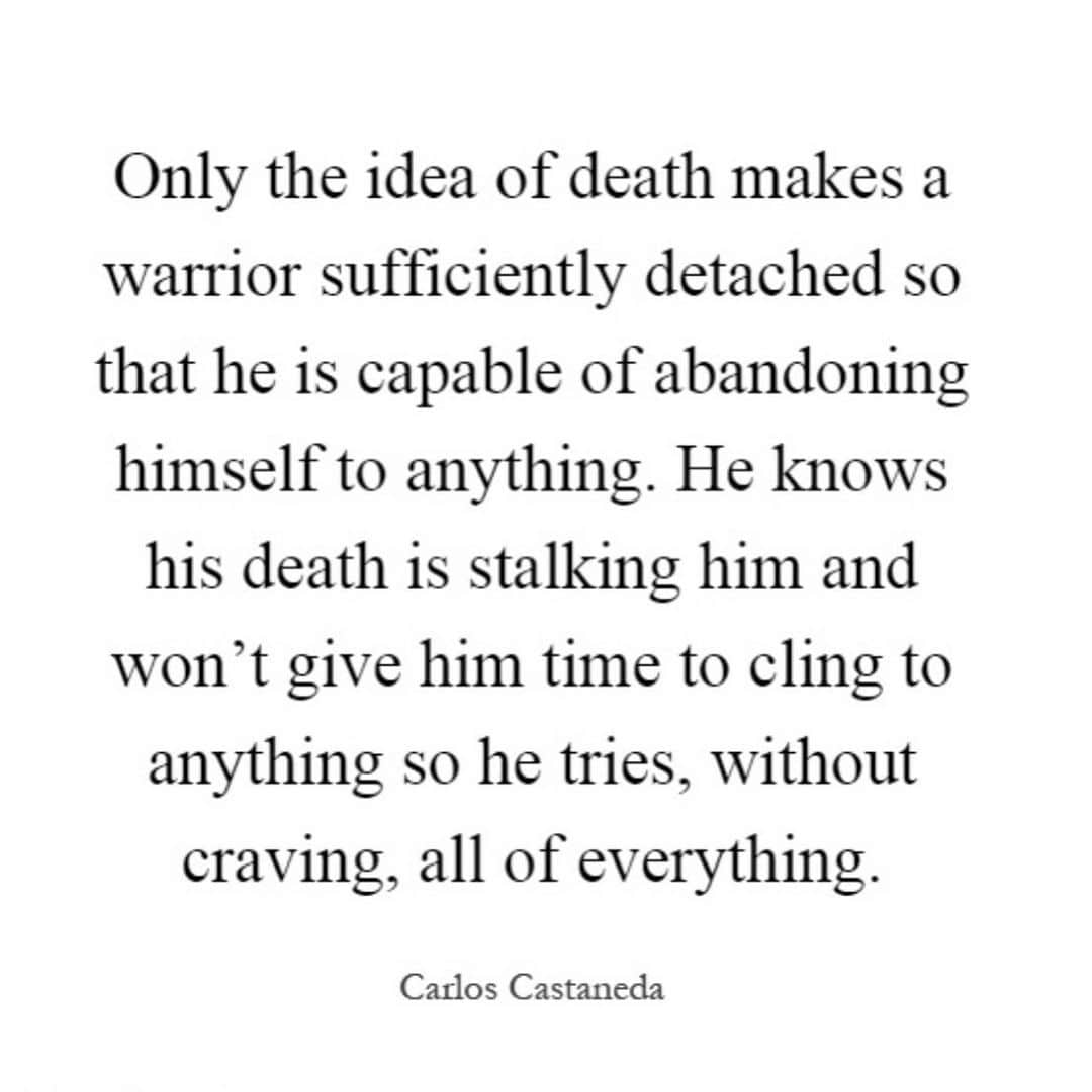 Black Jaguar-White Tiger さんのインスタグラム写真 - (Black Jaguar-White Tiger ...