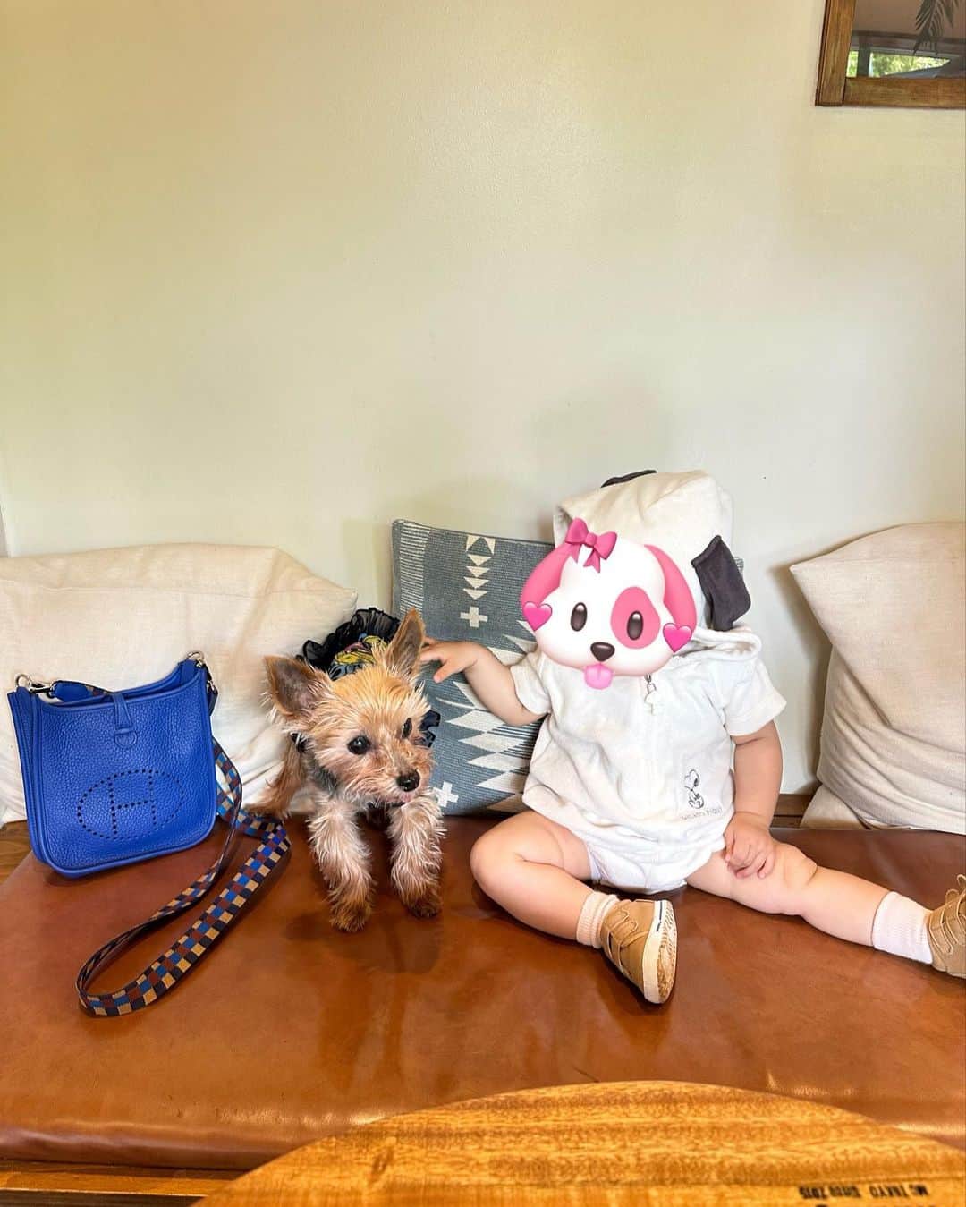 ririさんのインスタグラム写真 - (ririInstagram)「ほっこりする写真😌🍀 ベビ吉になでなでしてもらえたから 長生きするねっ💓 ...