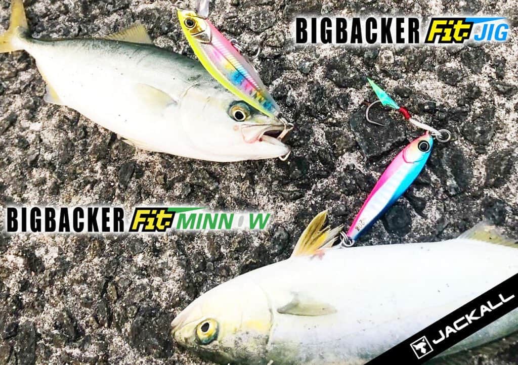 LureNews.TVさんのインスタグラム写真 - (LureNews.TVInstagram)「【例年6月に入ると好調に】若手ショアジガー“金井光輝”の大阪湾SLS(スーパーライトショア ...