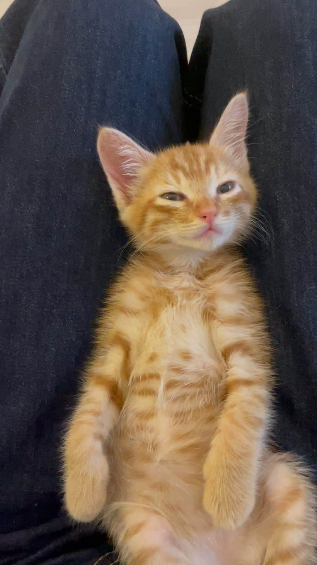 布施柚乃さんのインスタグラム - (布施柚乃@yuno.fuse)