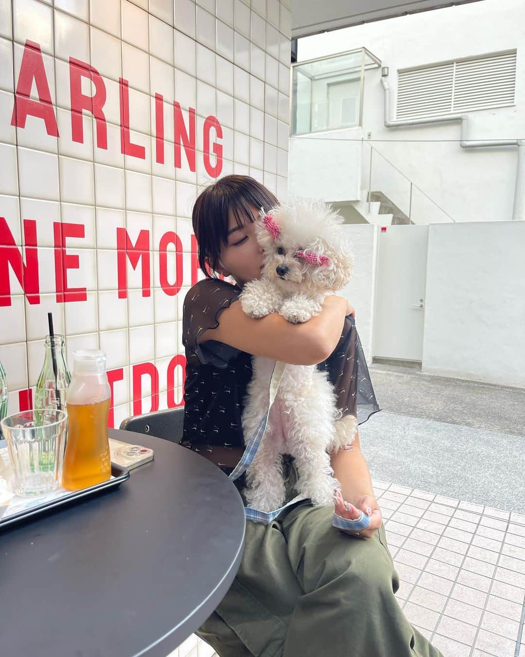 ききまるさんのインスタグラム写真 - (ききまるInstagram)「お散歩🌭🐶 . . 表参道までお散歩💓 . @dondonfarm に ...