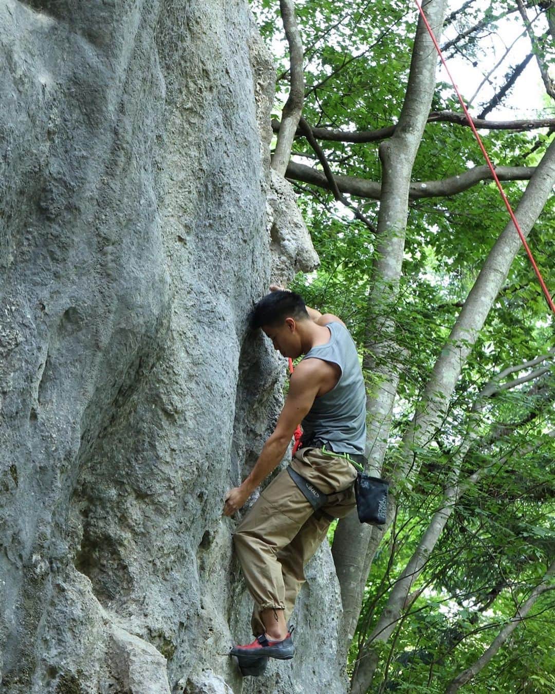 平山ユージさんのインスタグラム写真 - (平山ユージInstagram)「有難く沢山の梅を収穫🍑 本当に香りが良い 😊 棟梁のケンを初め手伝い ...