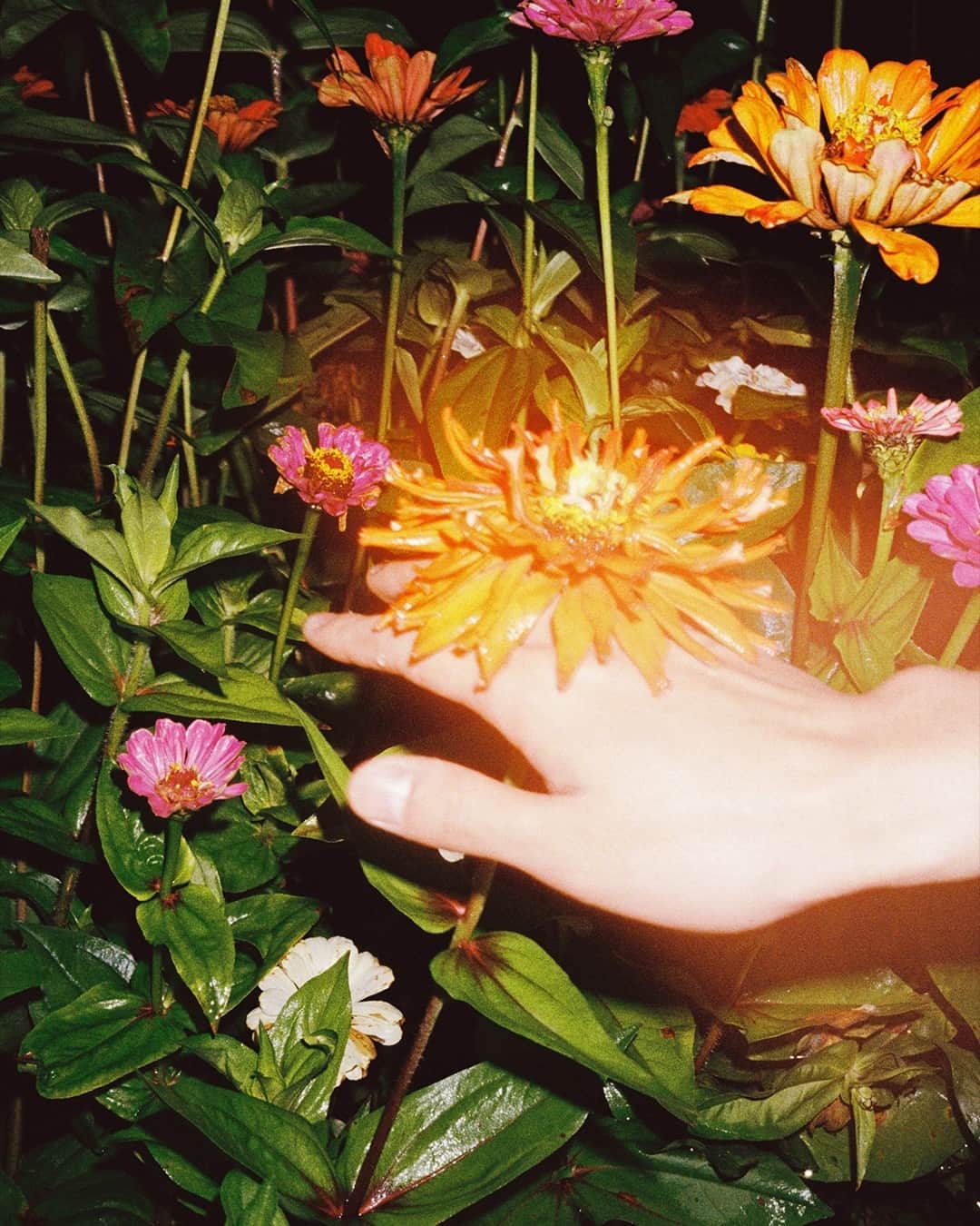 AnOther Magazineさんのインスタグラム写真 - (AnOther MagazineInstagram)「“Travelling ...