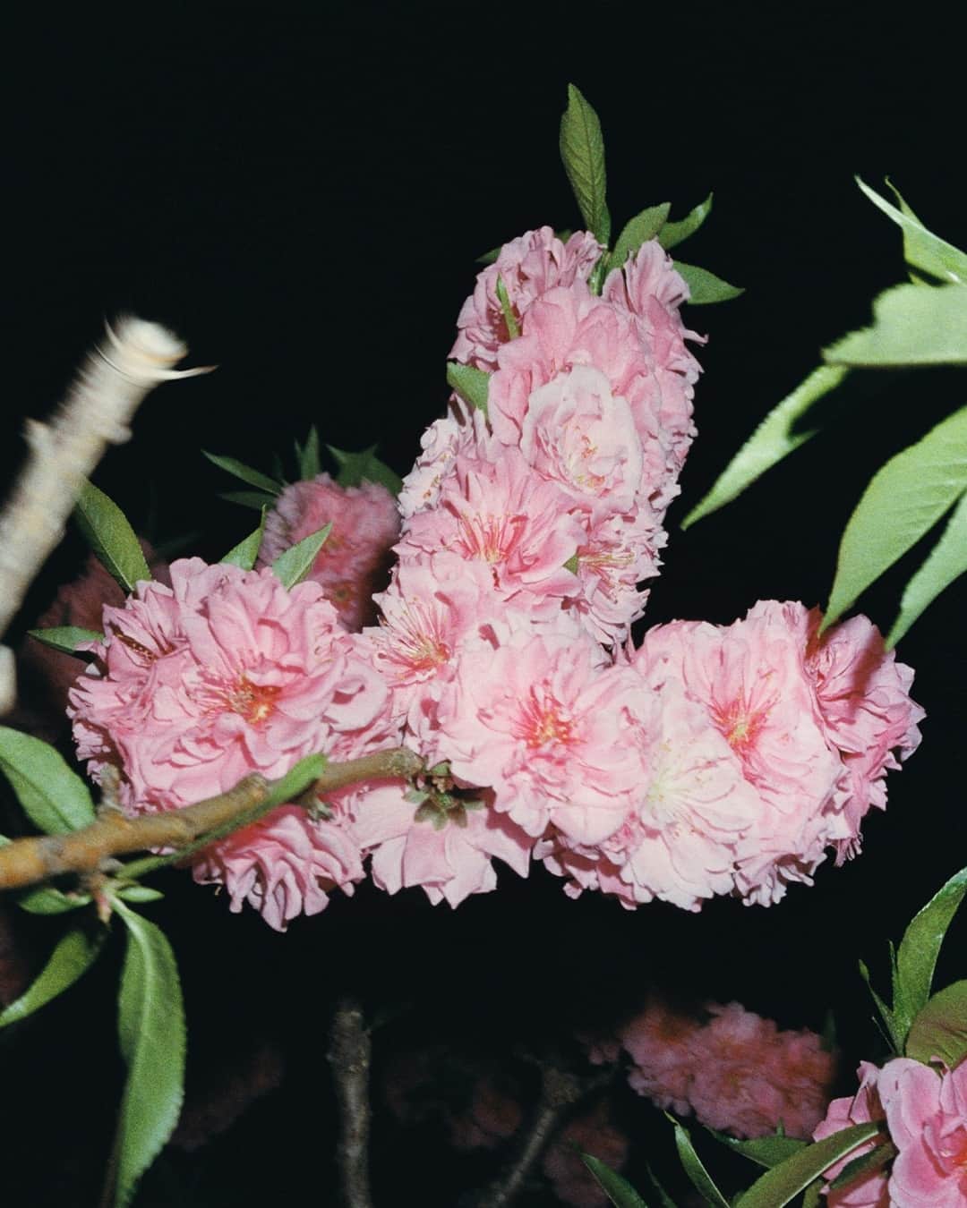 AnOther Magazineさんのインスタグラム写真 - (AnOther MagazineInstagram)「“Travelling ...