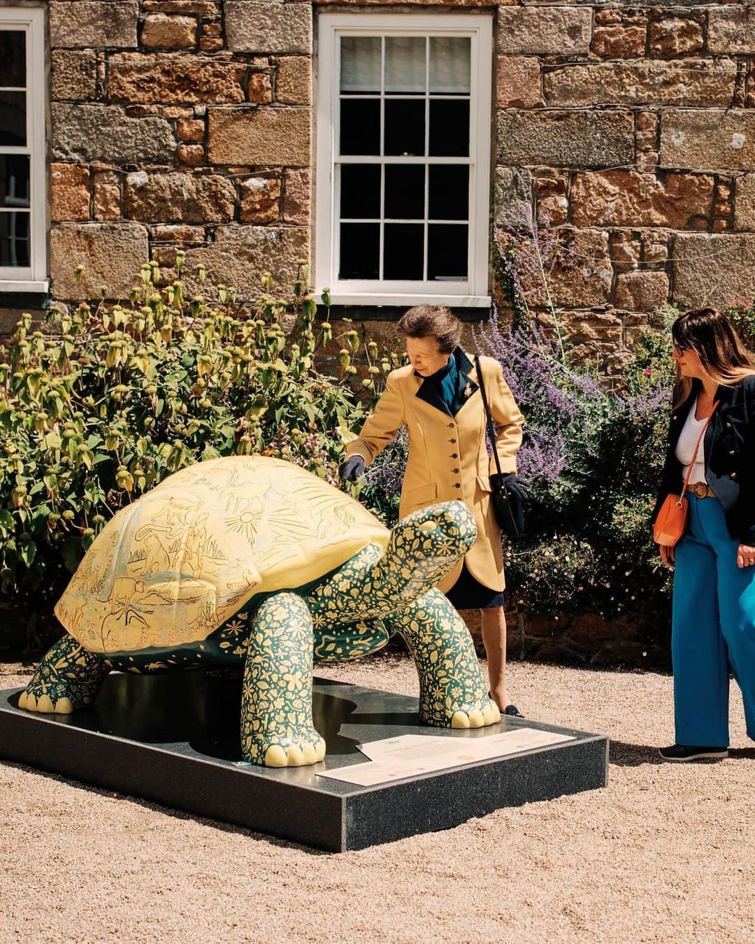 ロイヤル・ファミリーさんのインスタグラム写真 - (ロイヤル・ファミリーInstagram)「🐢🐢🐢 Celebrating ...