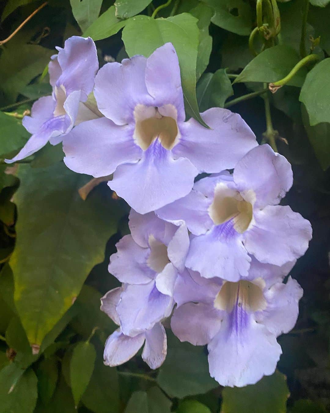 佐々木萌香さんのインスタグラム写真 - (佐々木萌香Instagram)「. 「佐々木萌香1st写真集 いちばん。」 7/29（土）の発売まで ...