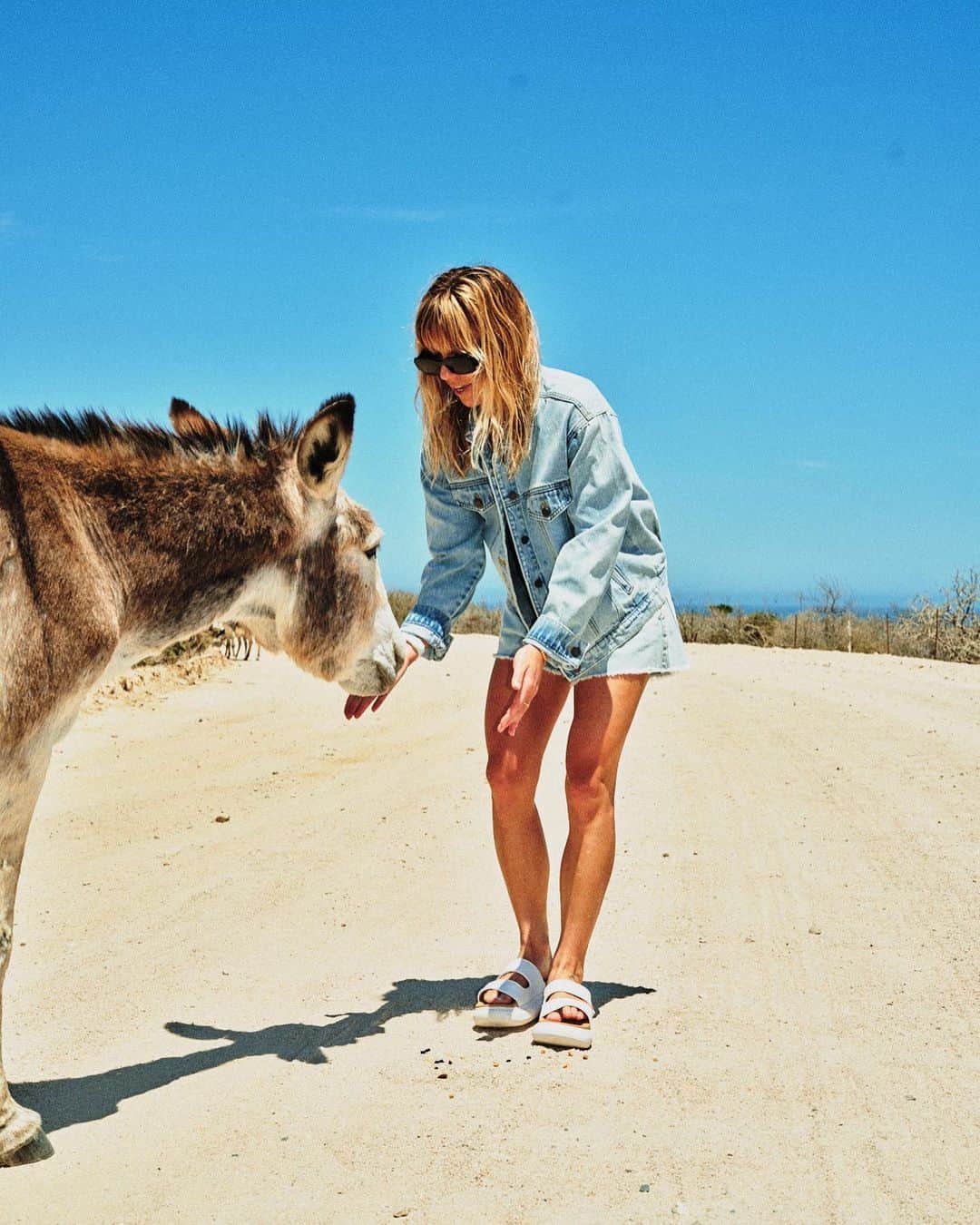 ココ・ホウさんのインスタグラム写真 - (ココ・ホウInstagram)「Cabo in the Collection 🌵 Shot by ...