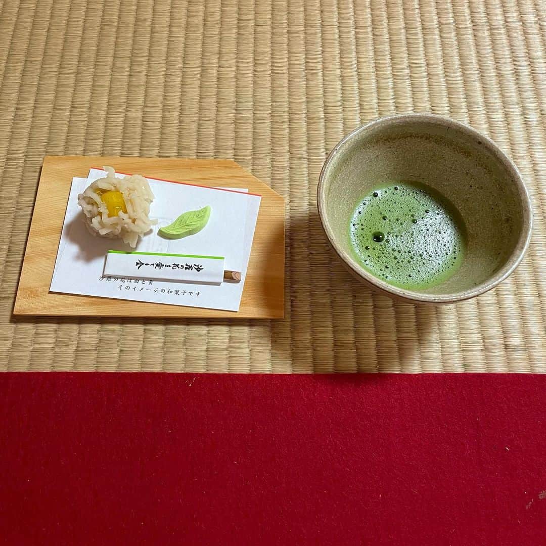 吉井明子さんのインスタグラム写真 - (吉井明子Instagram)「先週土曜日放送の「撮ってきた！📸」は 京都の妙心寺、東林院さんのお庭に咲く 沙羅双樹の名でも知られる ナツツバキでした ...