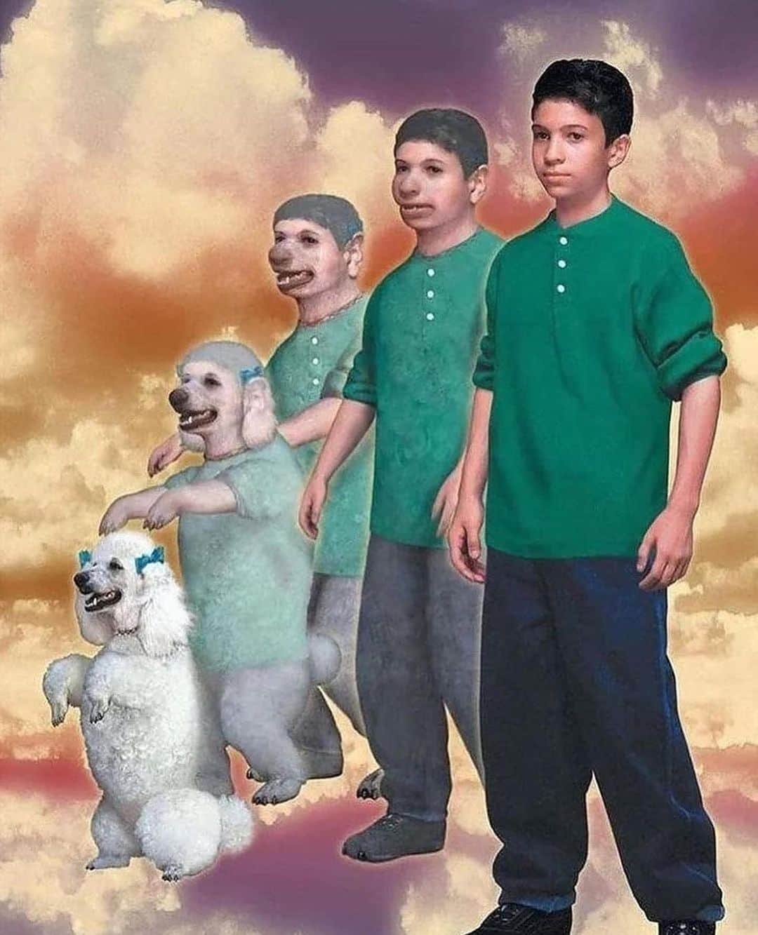 StreetArtGlobeさんのインスタグラム写真 - (StreetArtGlobeInstagram)「'Animorphs', the ...