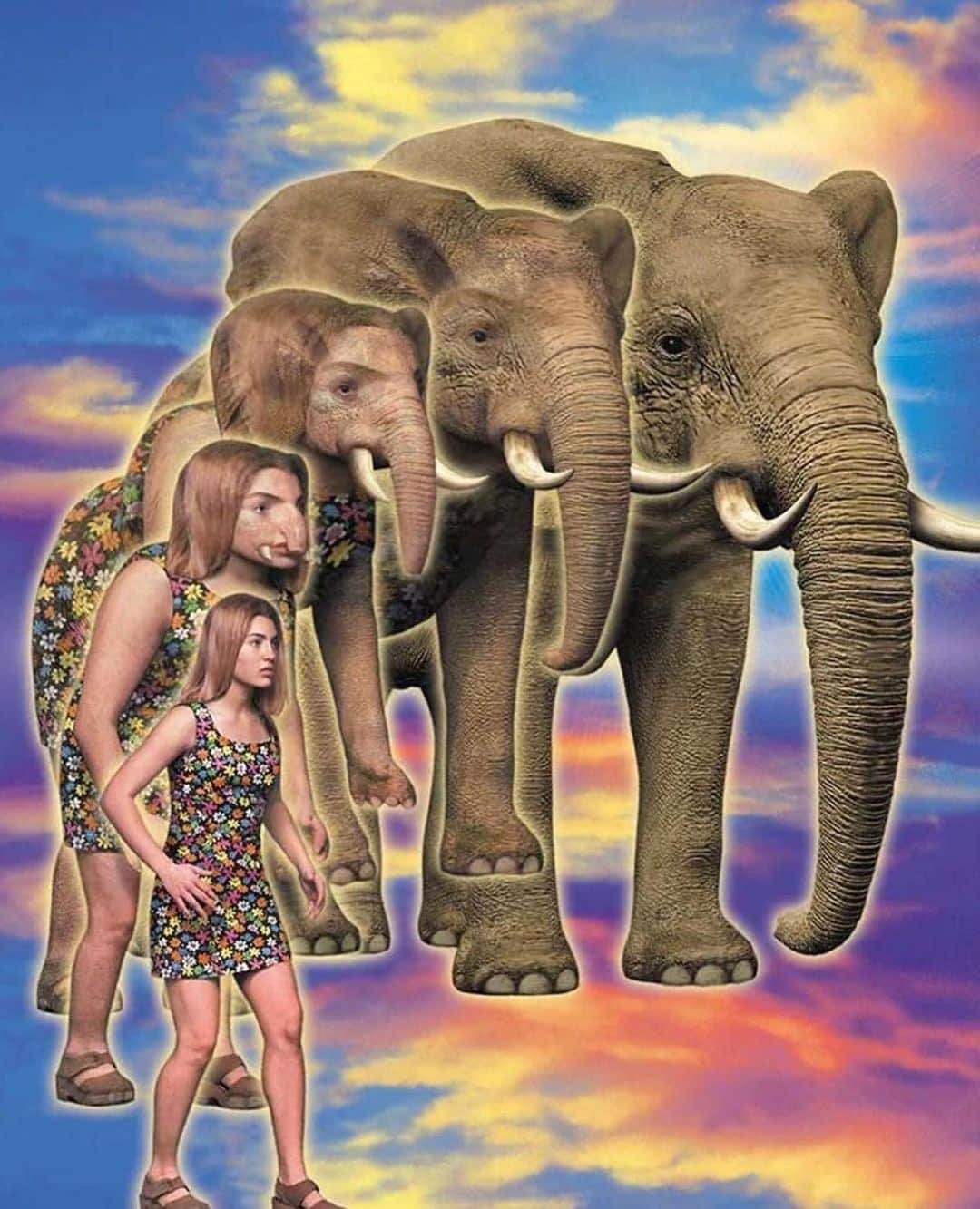 StreetArtGlobeさんのインスタグラム写真 - (StreetArtGlobeInstagram)「'Animorphs', the cover illustration for ...