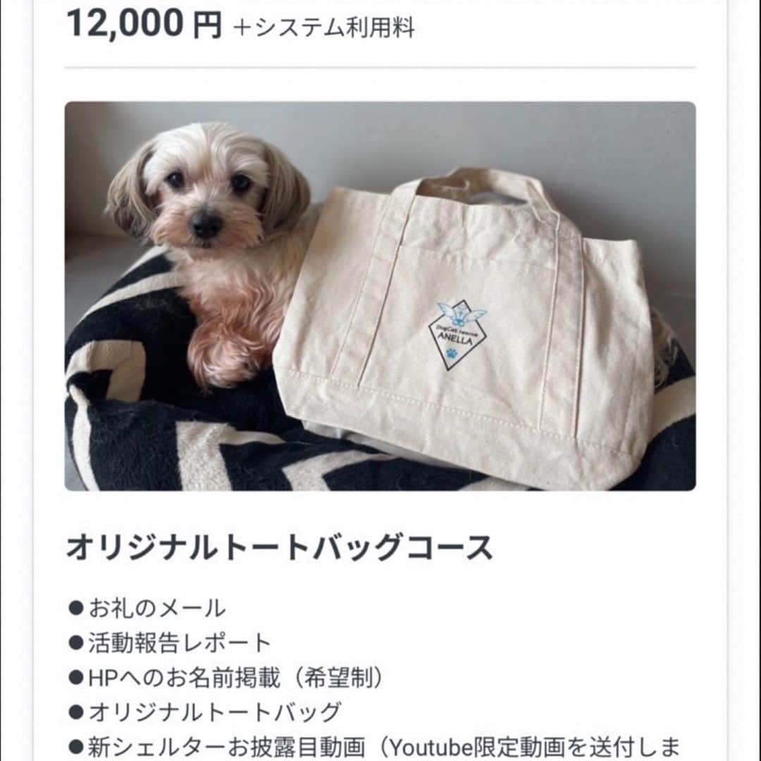 misoNosukeさんのインスタグラム写真 - (misoNosukeInstagram)「. . @daikiitoh や @nosukedrummer と 前日にやりとりをして ...