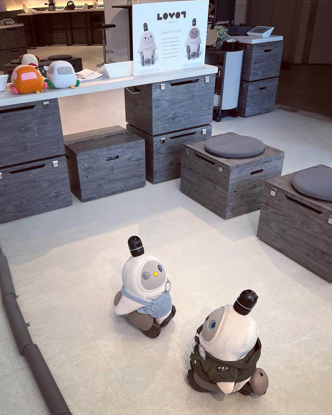 睦さんのインスタグラム写真 - (睦Instagram)「行ってきました、 渋谷のb8ta。 入ってすぐ、LOVOTの すももと、こむぎに遭遇 1人で戯れていたら。 外国のファミリーが 興味 ...