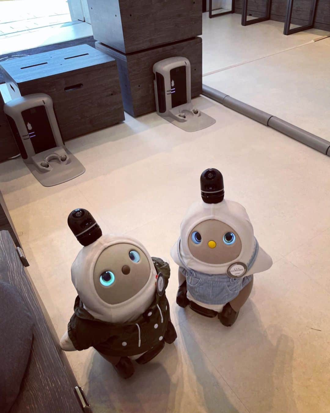 睦さんのインスタグラム写真 - (睦Instagram)「行ってきました、 渋谷のb8ta。 入ってすぐ、LOVOTの すももと、こむぎに遭遇 1人で戯れていたら。 外国のファミリーが 興味 ...