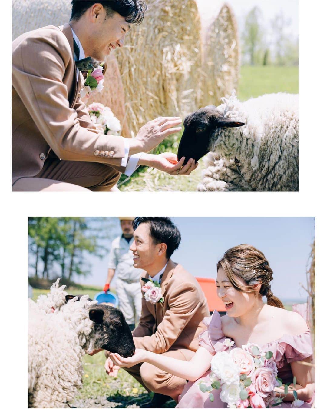 Lovegraph[ラブグラフ]さんのインスタグラム写真 - (Lovegraph[ラブグラフ]Instagram)「北海道で残すウェディングㅤㅤㅤフォト🐏🔅 撮影の日そのものが大切な思い出に ...