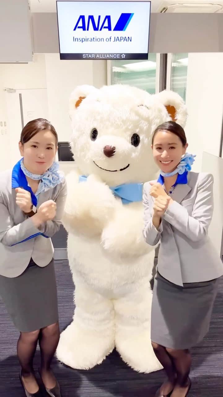 ANAさんのインスタグラム動画 - (ANAInstagram)「 ️ANA×familiar🐻‍ ️ 💙👍👍👍💙 ANA×familiar限定アイテムを販売中♬ 👉https://www ...