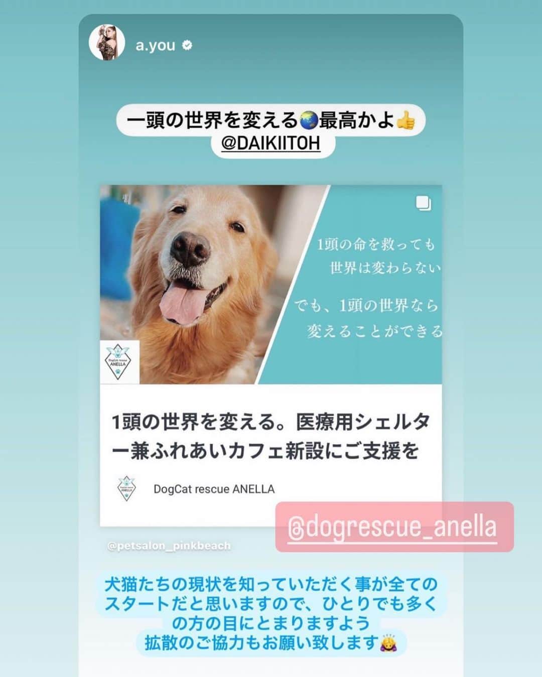 misoNosukeさんのインスタグラム写真 - (misoNosukeInstagram)「. . ♡ P.S ・・・I LOVE YOU！ ︎ @a.you @daikiitoh ...