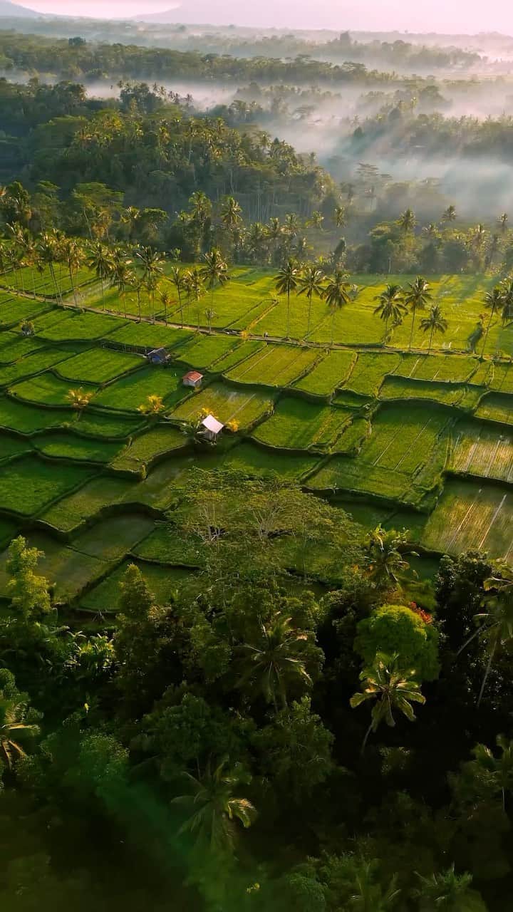 BEAUTIFUL DESTINATIONSさんのインスタグラム動画 - (BEAUTIFUL DESTINATIONSInstagram ...