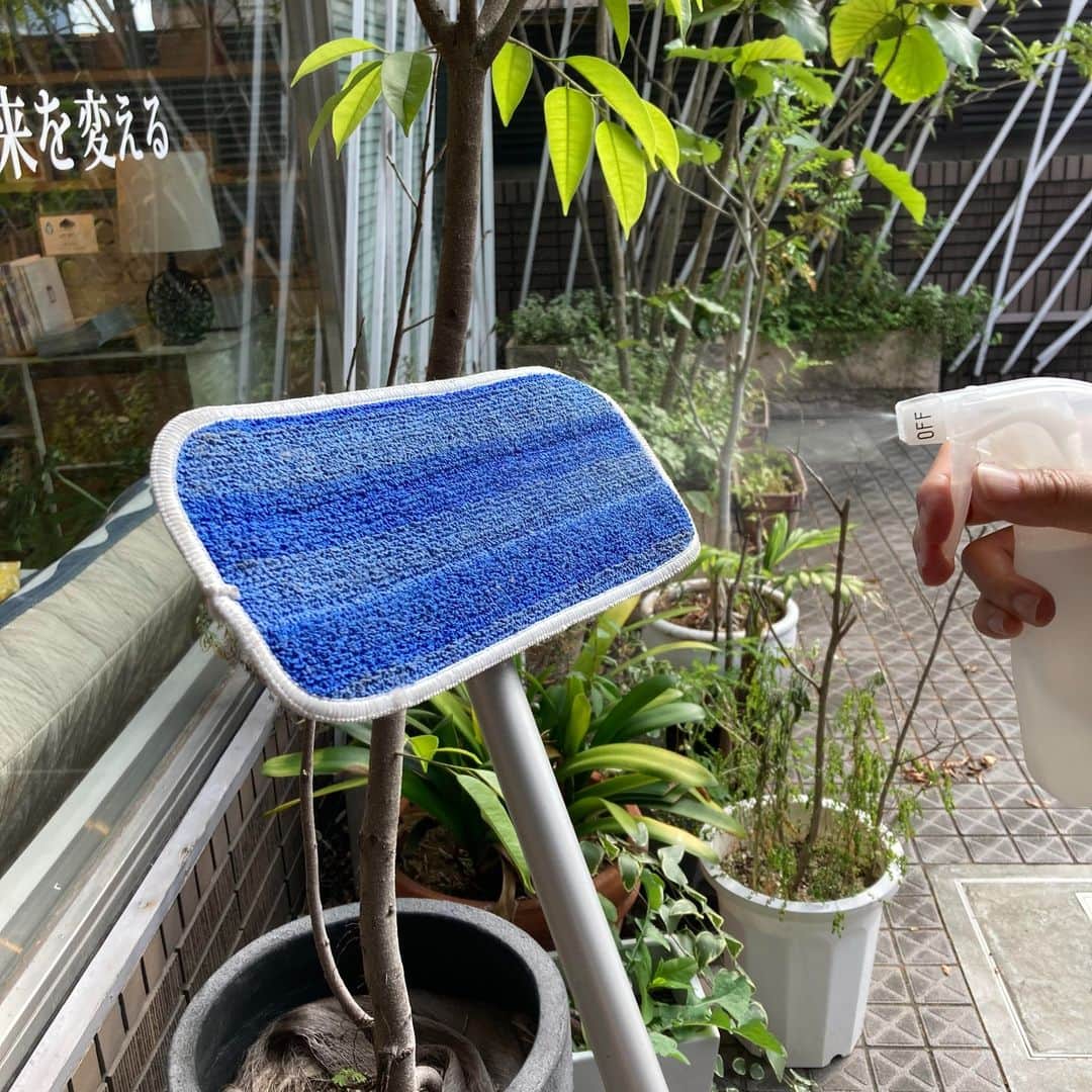 ecomfort（エコンフォート）さんのインスタグラム写真 - (ecomfort（エコンフォート）Instagram)「そうだ、今日も窓ふこう！ なるほど、モップって床拭き用だけじゃなかった ...