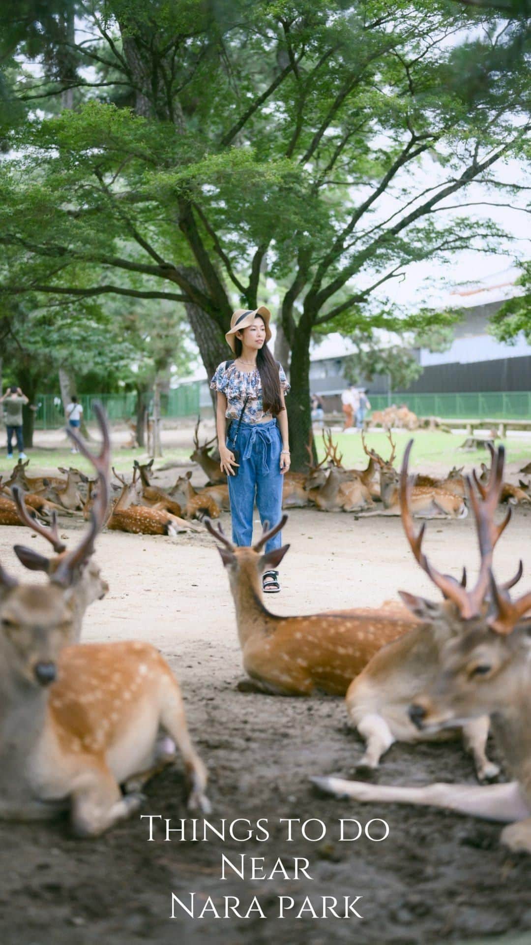 さんのインスタグラム動画 - (Instagram)「【Things to do around Nara Park🦌】 Just 5-min walk from Kintetsu-Nara ...