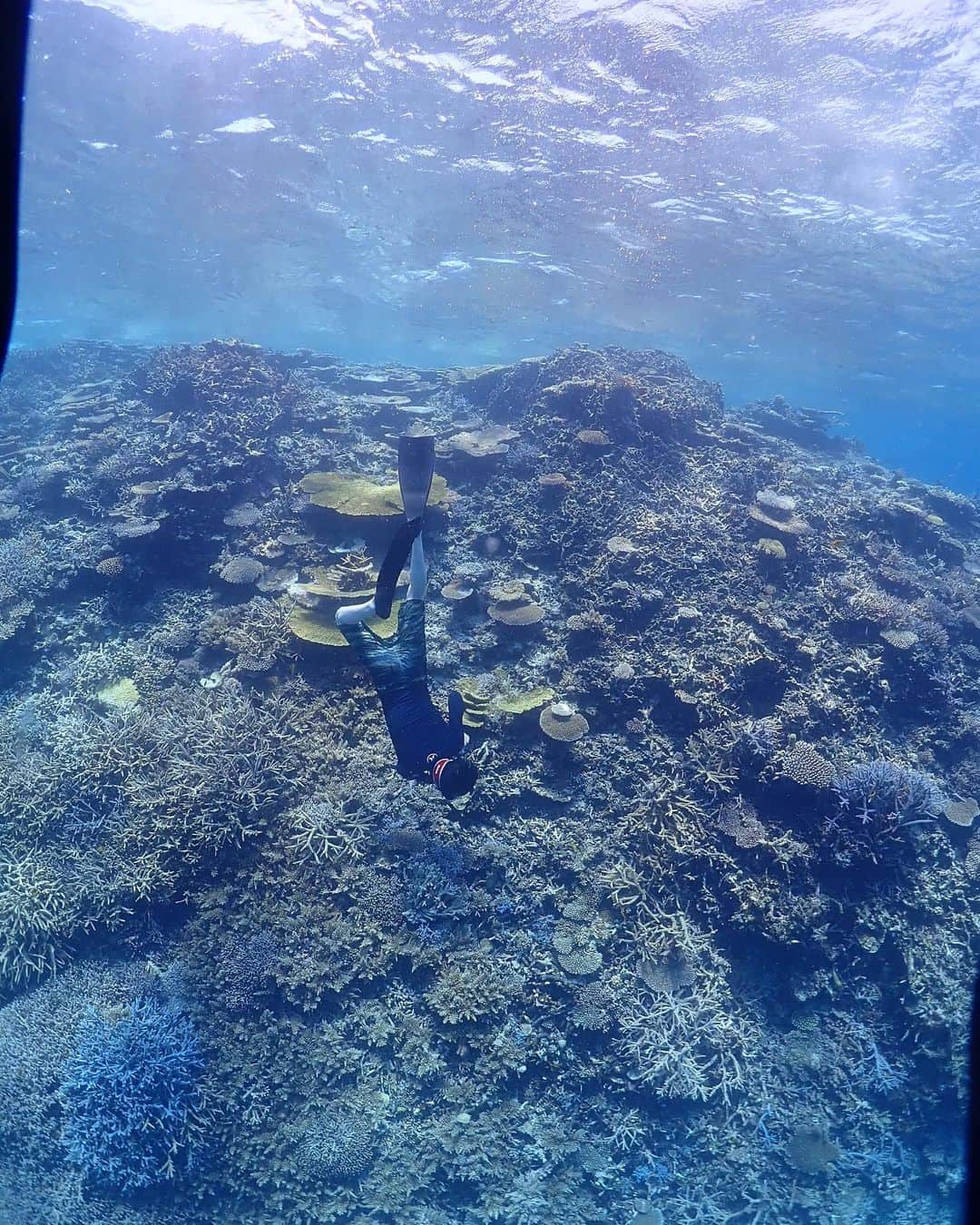 千原ジュニアさんのインスタグラム写真 - (千原ジュニアInstagram)「祝、甥っ子成人 おめでとう‼︎ #宮古島 #南楽 #八重干瀬」7 ...