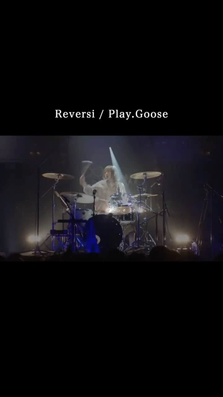 Play.Gooseさんのインスタグラム動画 - (Play.GooseInstagram)「【LIVE】Reversi / Play.Goose 全国7都市を回るツアー7/30札幌から ...