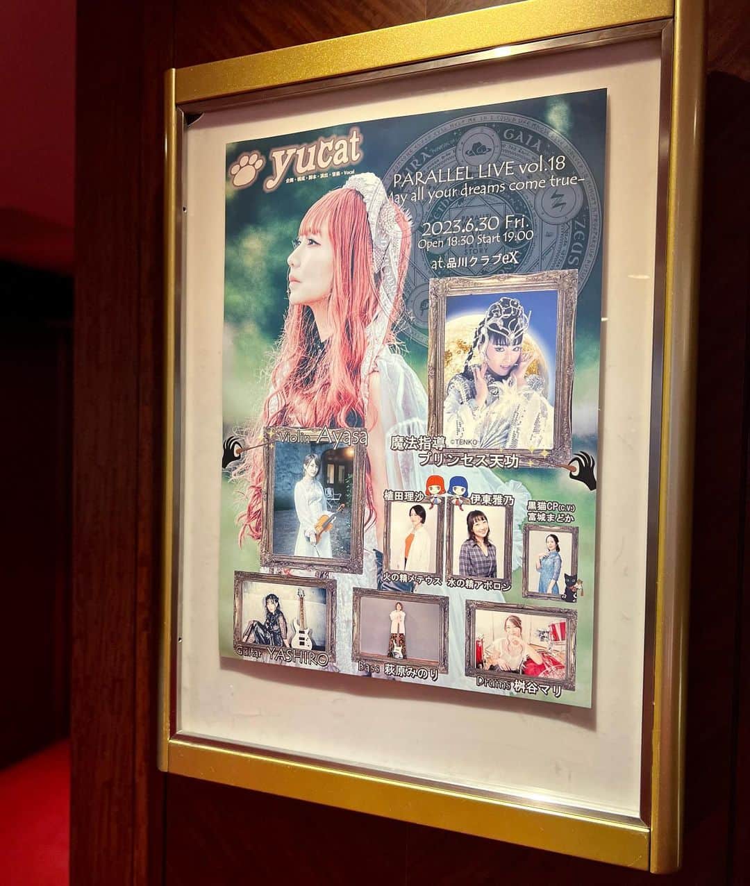 織田千穂さんのインスタグラム写真 - (織田千穂Instagram)「先月、yucatさん🐾のライブに行って来ました♡ ︎yucat PARALLEL LIVE vol.18-May all ...