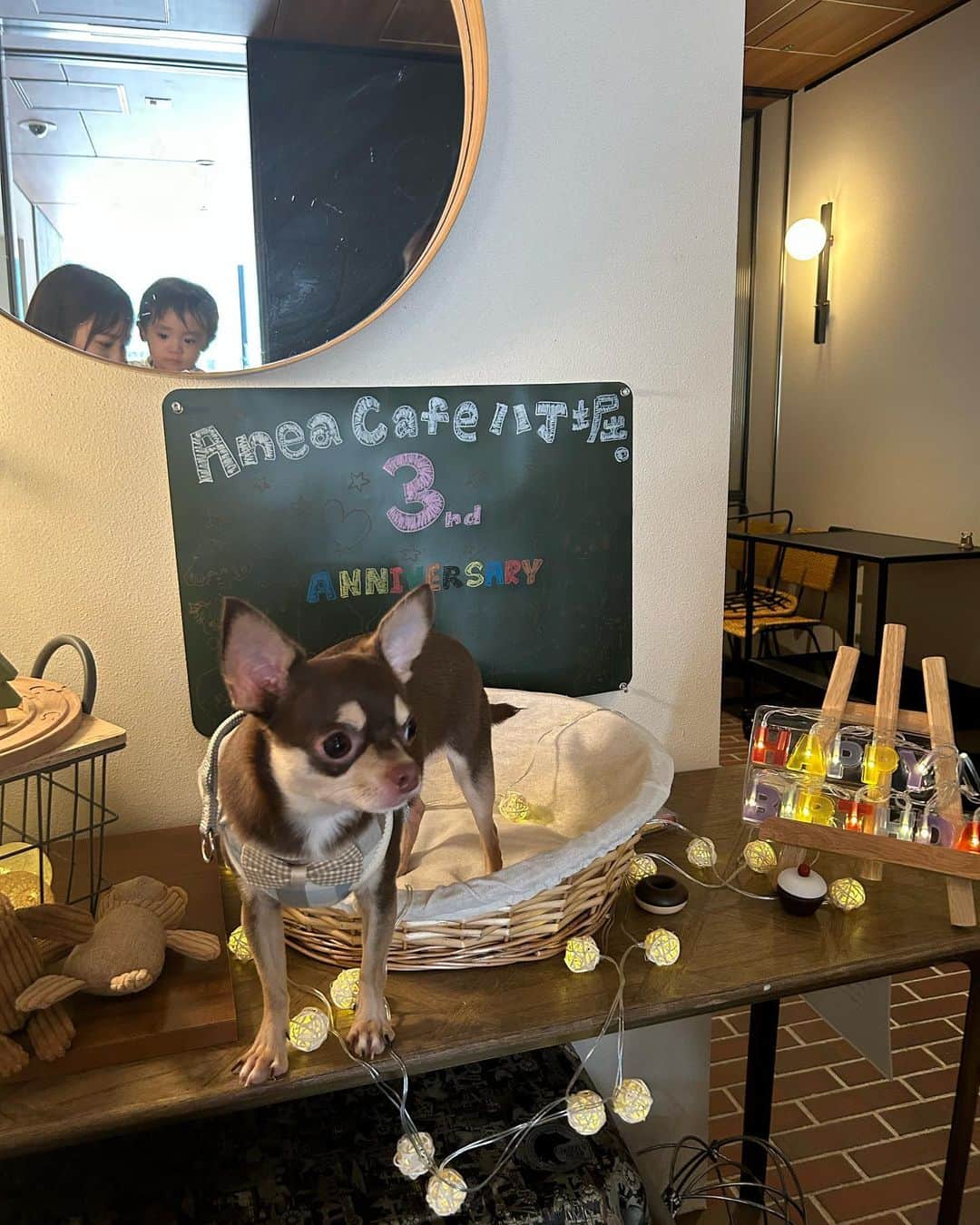 浜田翔子さんのインスタグラム写真 - (浜田翔子Instagram)「chocotan 〔 @chocotan0718 〕 🎂2歳 ...