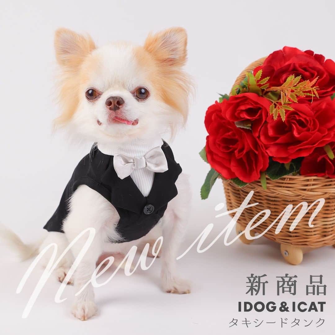 iDog&iCatさんのインスタグラム写真 - (iDog&iCatInstagram)「 2023-24 AW COLLECTION IDOG&ICATの新作秋冬ウェアが7月中旬より販売開始 ...