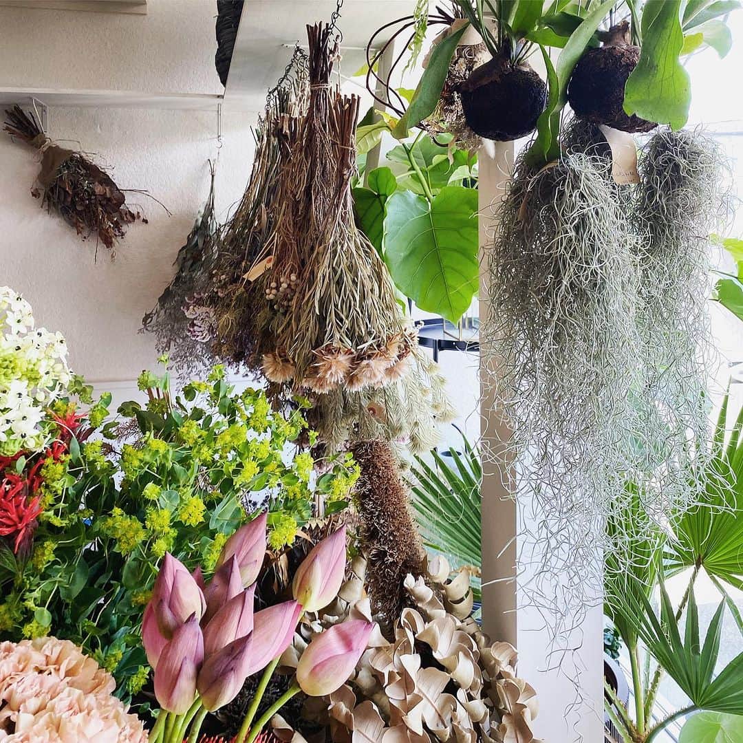 MILLE ECLAT.さんのインスタグラム写真 - (MILLE ECLAT.Instagram)「明日7月12日(水)10:00〜 ミルエクラ.習志野台店オープンします ...