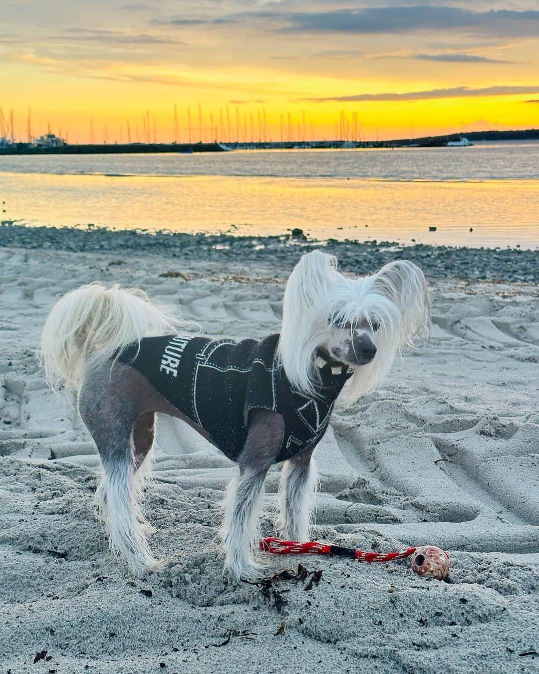 B. Akerlundさんのインスタグラム写真 - (B. AkerlundInstagram)「Chasing Sunsets ….」7月 ...