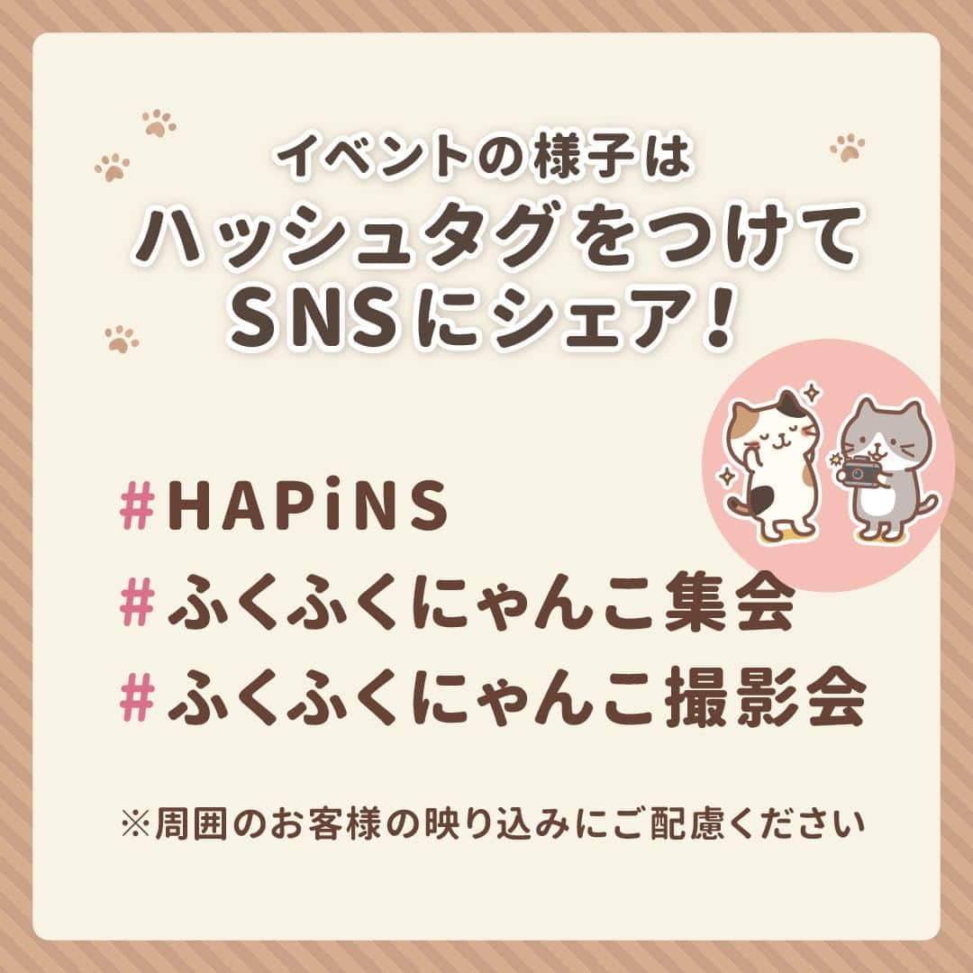 HAPiNSさんのインスタグラム写真 - (HAPiNSInstagram)「. ⋰ 🐱 ふくふくにゃんこ 📷 グリーティングイベント開催☆ˎˊ˗ ⋱ サンリブくりえいと宗像店に #チャチャ丸 ...