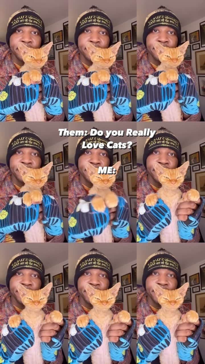 MSHO™(The Cat Rapper) さんのインスタグラム動画 - (MSHO™(The Cat Rapper) Instagram ...