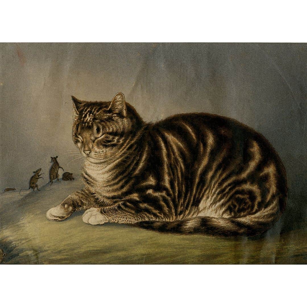 大英博物館さんのインスタグラム写真 - (大英博物館Instagram)「🐱 From cute kittens to magnificent ...