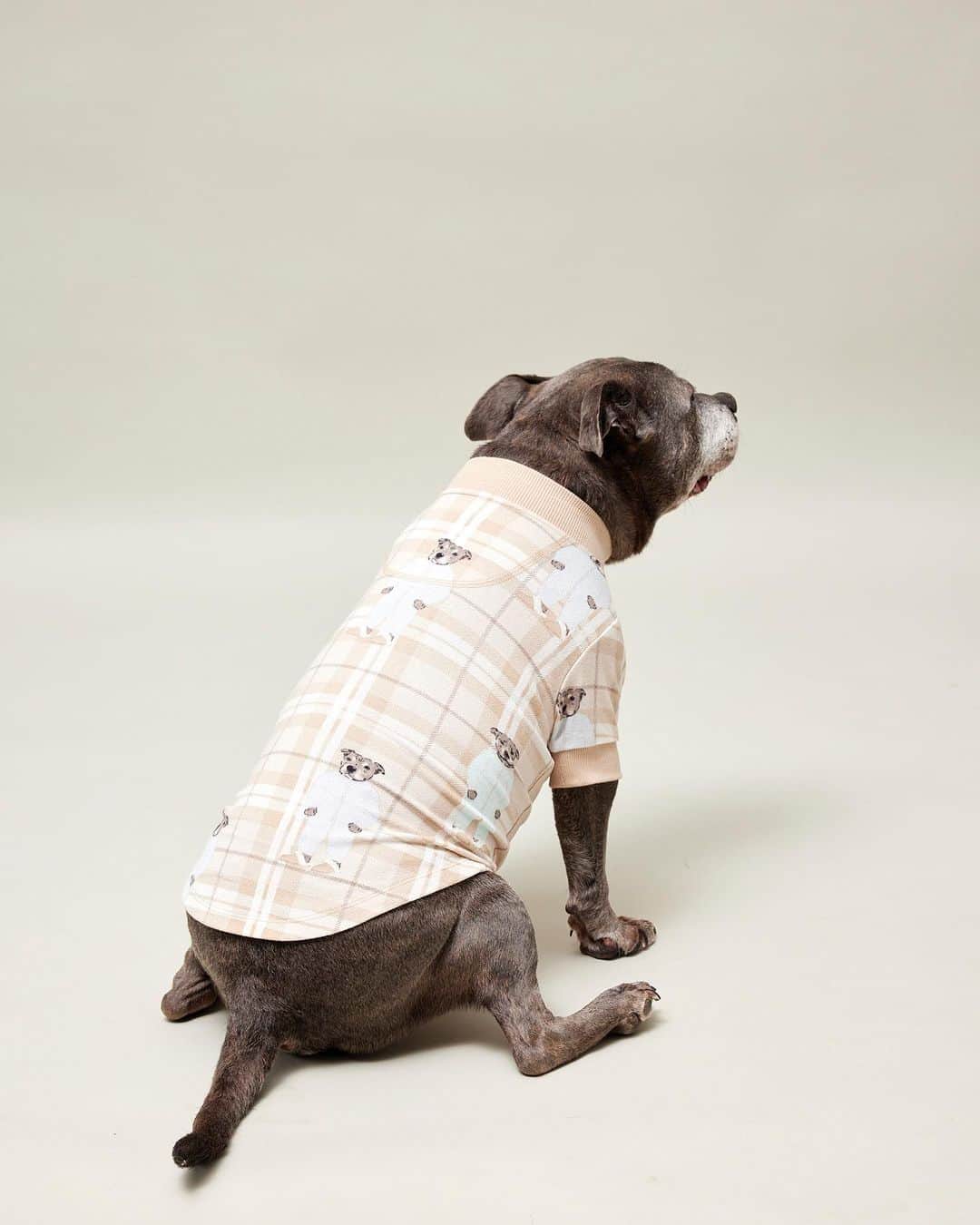 DARREN&PHILLIPさんのインスタグラム写真 - (DARREN&PHILLIPInstagram)「Introducing ...