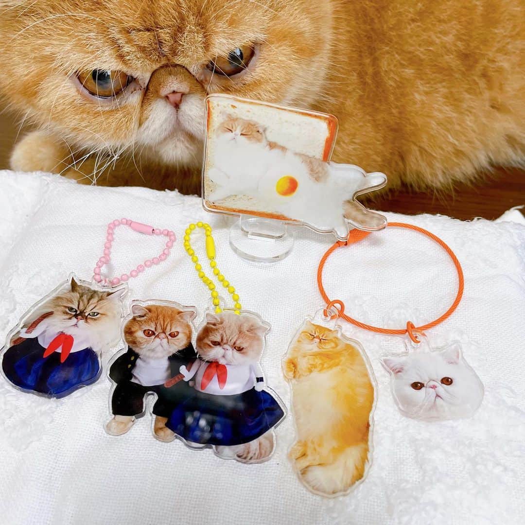 女将さんのインスタグラム写真 - (女将Instagram)「@acry.fam さんで アクスタとアクキーを作ってみました！ 思ったより簡単！ アプリをダウンロードして 好きな写真選んで ...