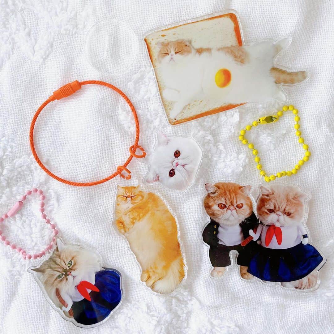 女将さんのインスタグラム写真 - (女将Instagram)「@acry.fam さんで アクスタとアクキーを作ってみました！ 思ったより簡単！ アプリをダウンロードして 好きな写真選んで ...