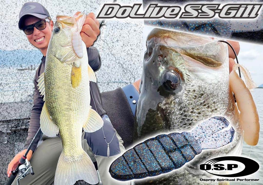 LureNews.TVさんのインスタグラム写真 - (LureNews.TVInstagram)「【今が旬】新進気鋭の若手プロガイド“永井裕二朗”が日々実践！「最強ギルパターン攻略テク ...