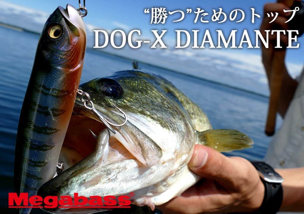 LureNews.TVさんのインスタグラム写真 - (LureNews.TVInstagram)「全米を席巻中！”勝つ”ためのペンシルベイト「DOG-X DIAMANTE（ドッグエックス ...