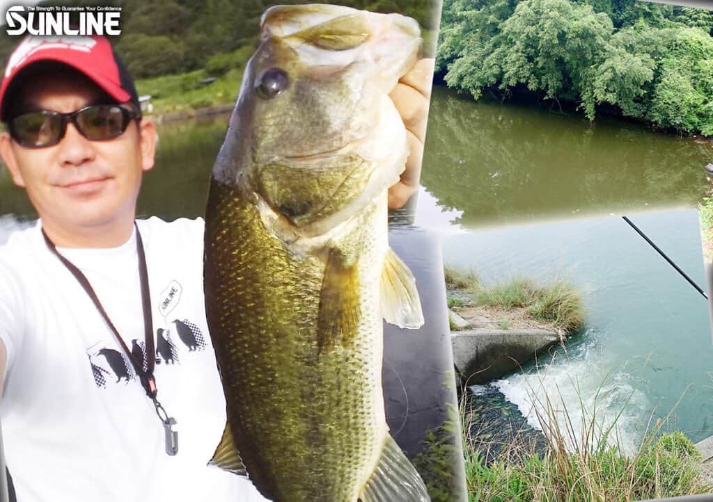 LureNews.TVさんのインスタグラム写真 - (LureNews.TVInstagram)「【エリアに応じたライン選びも必見】暑い日中に意識すべき重要な3項目とは？「夏の陸っぱり攻略法 ...