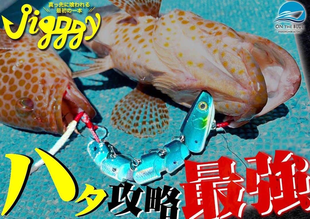 LureNews.TVさんのインスタグラム写真 - (LureNews.TVInstagram)「【ハタ攻略最強】夏のSLJでは釣り船生まれの「重量可変式ジョイント式スイムジグ」をお忘れなく ...