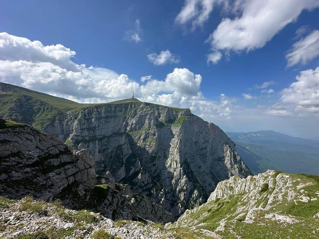 Delia Matacheさんのインスタグラム写真 - (Delia MatacheInstagram)「Racoreanuuuuu ...