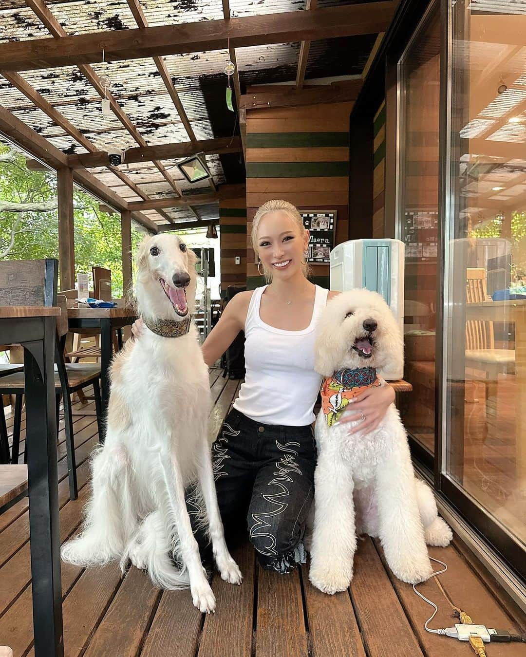 HARACHANさんのインスタグラム写真 - (HARACHANInstagram)「愉快な仲間たち🐶」7月27日 19時11分 - cjd ...