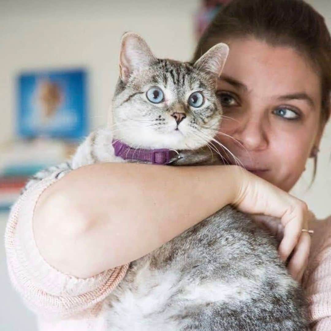 The Cats Of Instagramさんのインスタグラム - (The Cats Of Instagram@catsofinstagram)