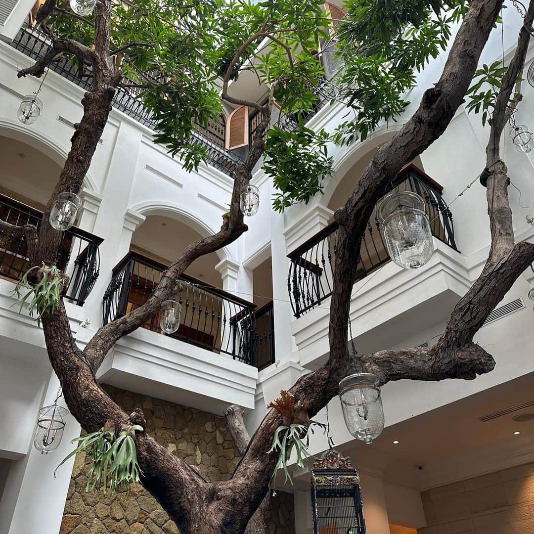 デヴィ・スカルノさんのインスタグラム写真 - (デヴィ・スカルノInstagram)「ジャカルタの 中心部、メンテンの 一等地に位置する ...